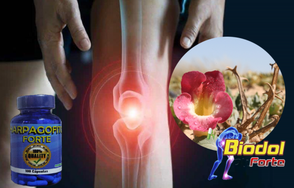 Blog – Biodolforte®